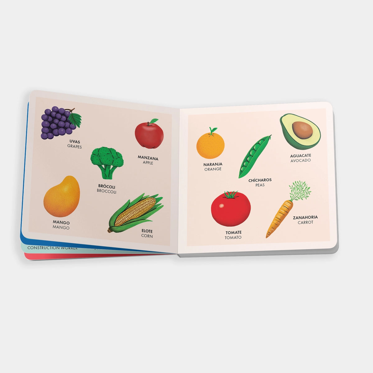 My Big Bilingual Book of First Words - {English & Spanish} – Mexico In ...