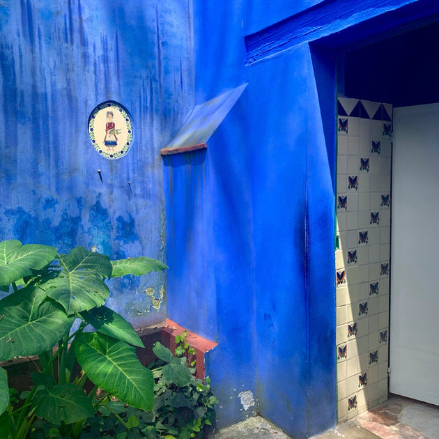 Struggling to Get Tickets to La Casa Azul? Use this Pro-Tip – Mexico In ...